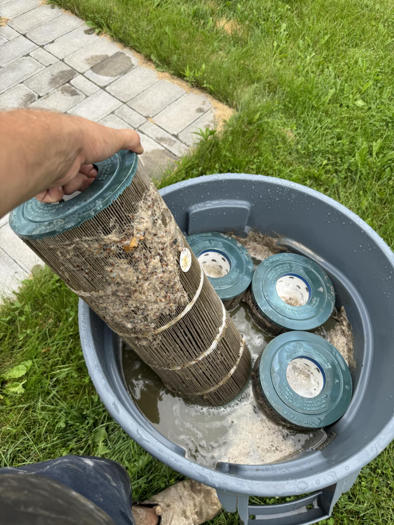 How To Clean A Cartridge Pool Filter - Step By Step Guide